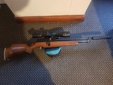 Webley & Scott Target Shooting Air Guns for Sale - Gunstar